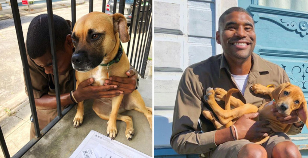 UPS Driver is Breaking Down the Delivery Person VS Dog Barrier