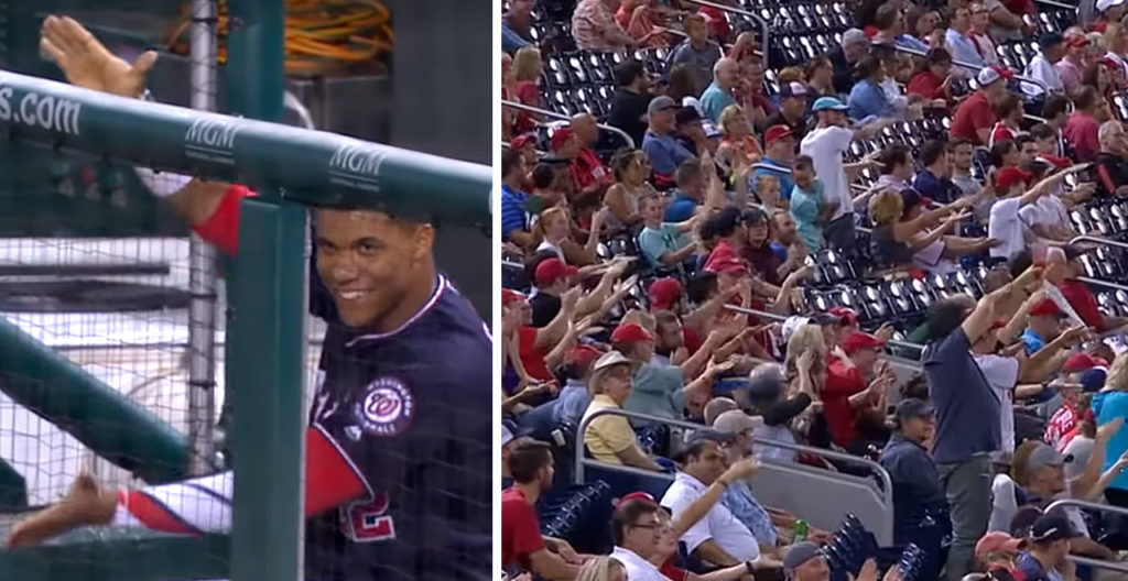 Entire MLB Stadium Goes Into a Baby Shark Frenzy