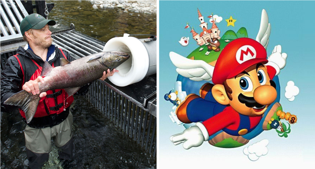 Viral Salmon Cannon Video Gets Remixed With Super Mario 64 Sound Effects