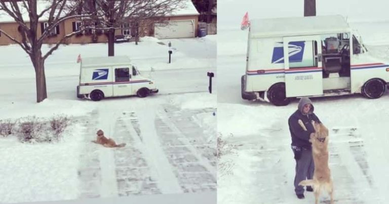 Meet the Dog Who Patiently Waits to Hug the Mailman