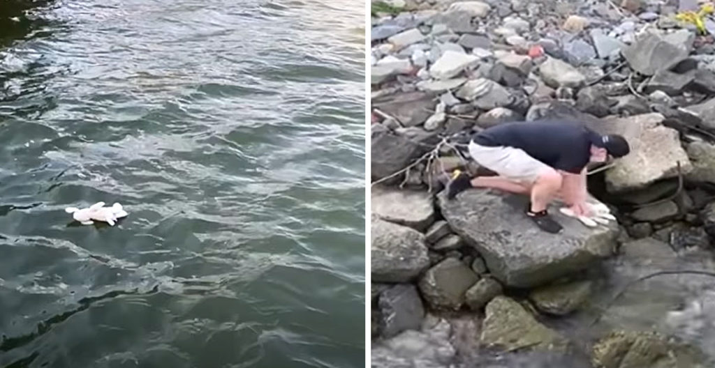 Masked Hero Performs CPR on Teddy Bear Who Fell Into Hudson River
