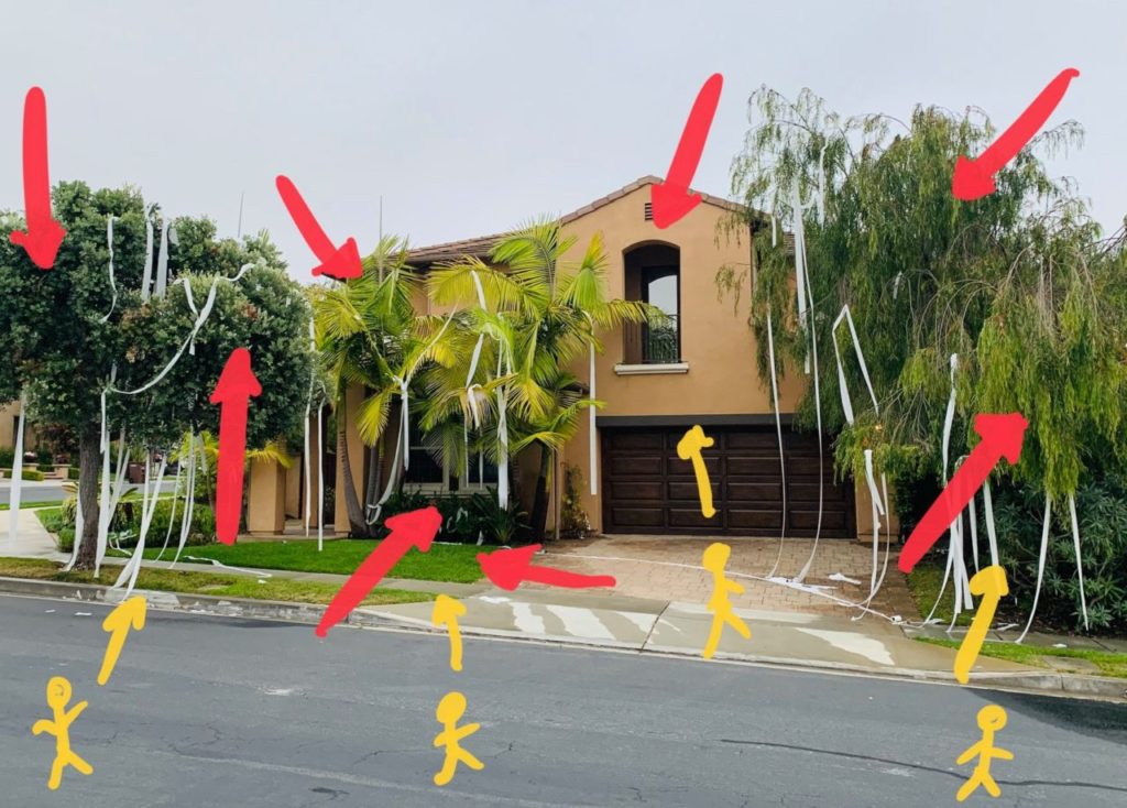 Dad Thanks Kids Who TP'd His House, Offers Tips for Next Time