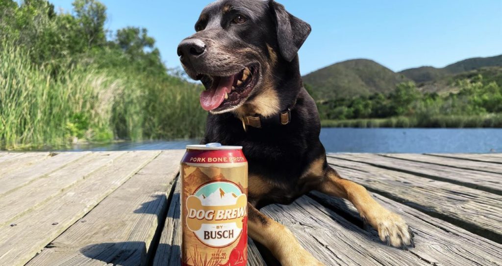 Man's Best Friend Turned Drinking Buddy With New Dog Beer
