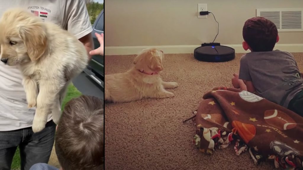 Three-Pawed Pup Finds Home With 7-Yr-Old Who Has Prosthetic Leg