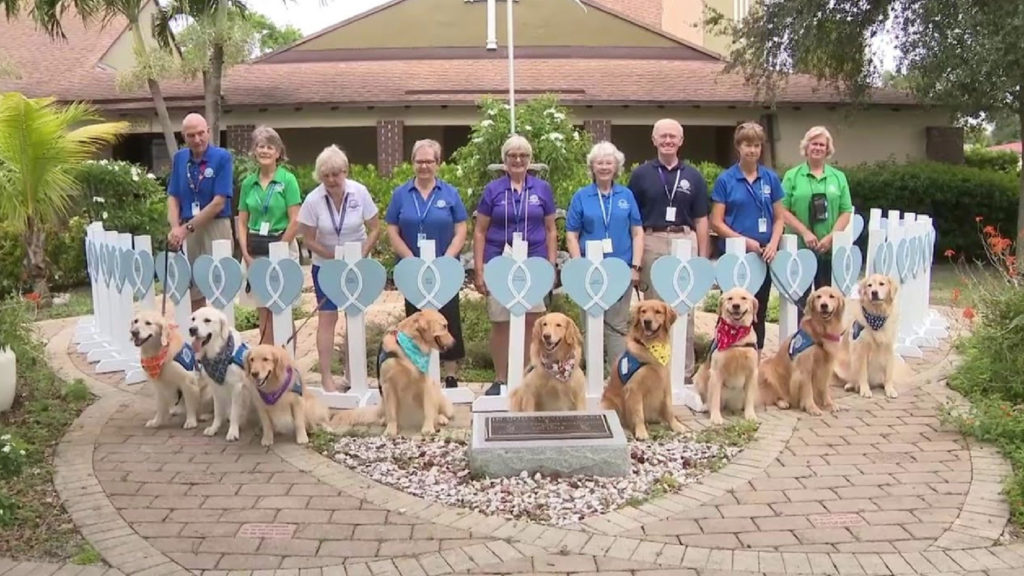 Therapy Dogs Helping First Responders in Miami After Condo Collapse
