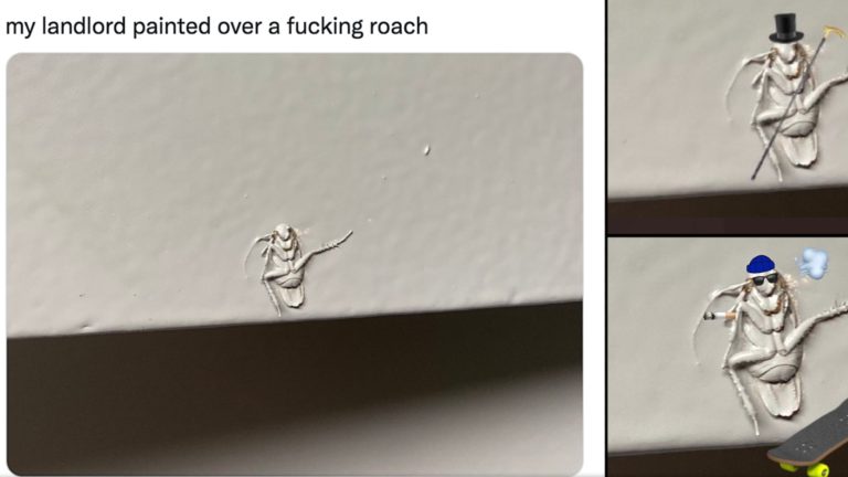 Landlord Paints Over Roach, Sparks Photoshop Battle