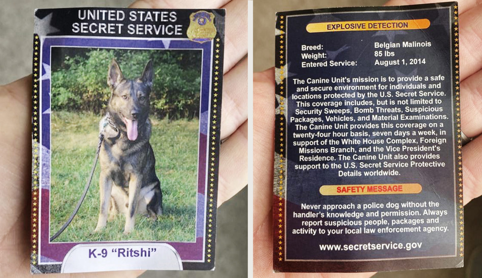 Mark Rober Shares Moving Video About His Son With Autism